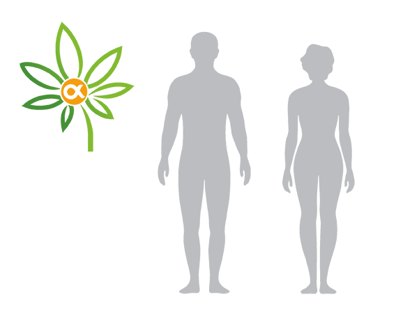 Guia para o CBD - Alpha Leaf